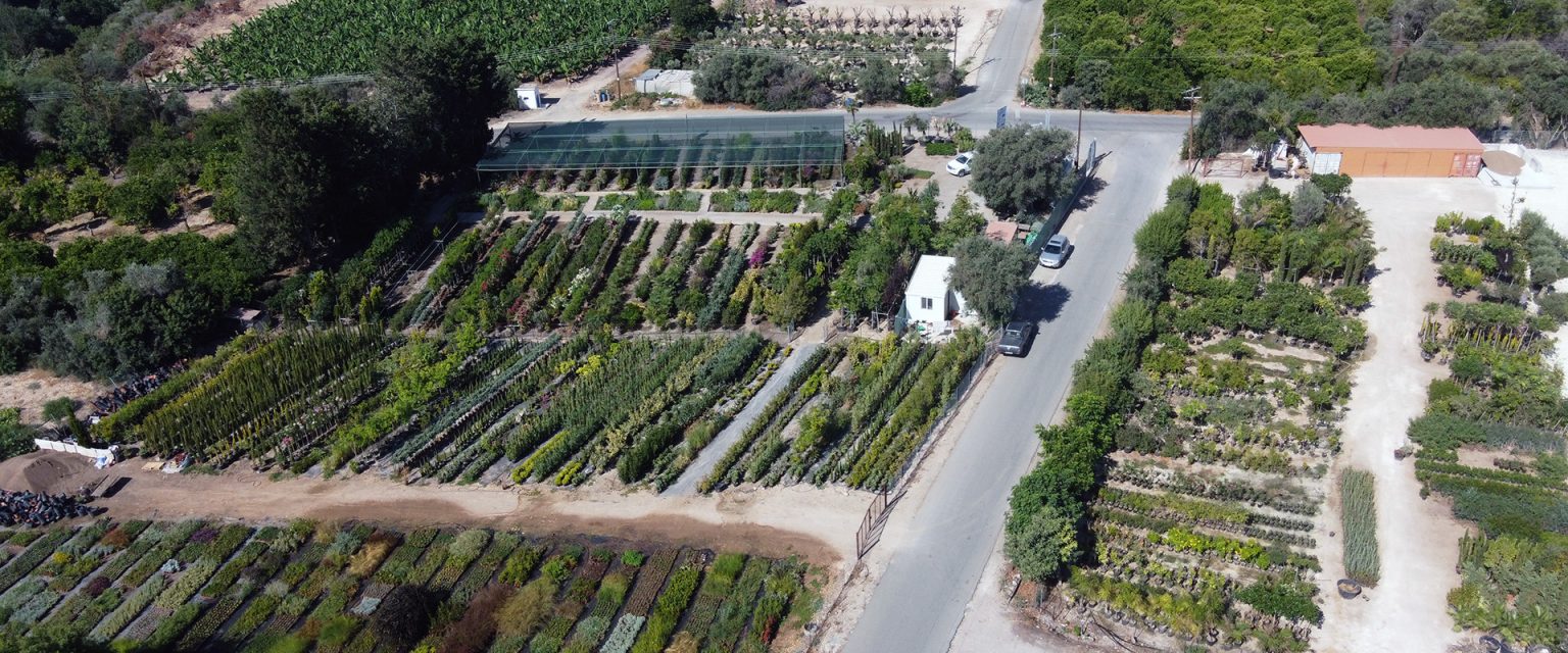 Home - LG Green Nature Nursery